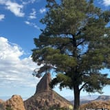 Lone Tree via Peralta Canyon Trail, Arizona - 1,944 Reviews, Map ...