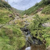 Long Mynd Circular, Shropshire, England - 1,260 Reviews, Map | AllTrails