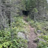 Scoville Point via Stoll Trail, Michigan - 475 Reviews, Map | AllTrails