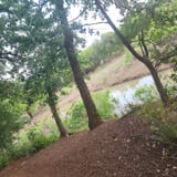 Lake Grapevine Horseshoe Trail, Texas - 2,191 Reviews, Map | AllTrails