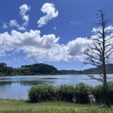Furnas Lagoon Trail, Azores, Portugal - 516 Reviews, Map | AllTrails