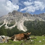 Seceda - Rifugio Firenze - Col Raiser: 4.271 fotos - Sydtyrol, Italien ...