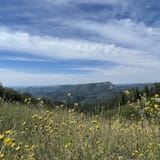Animas Overlook Trail, Colorado - 133 Reviews, Map | AllTrails