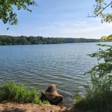Pierce Lake Trail, Illinois - 968 Reviews, Map | AllTrails