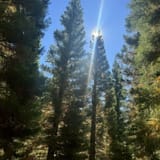 Oak Glen Preserve Trails, California - 792 Reviews, Map | AllTrails