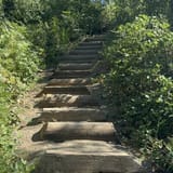 Oak Glen Preserve Trails, California - 792 Reviews, Map | AllTrails