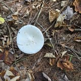 Colyer Lake Loop, Pennsylvania - 788 Reviews, Map | AllTrails