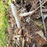 Colyer Lake Loop, Pennsylvania - 788 Reviews, Map | AllTrails