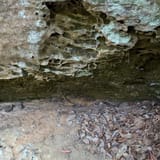 Hidden Arch Trail, Kentucky - 1,248 Reviews, Map | AllTrails