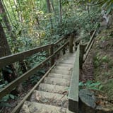 Hidden Arch Trail, Kentucky - 1,248 Reviews, Map | AllTrails