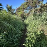 Kaʻawaloa - Captain Cook Monument Trail, Hawaii, Hawaii - 3,275 Reviews ...