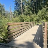Tryon Creek Triple Bridge Loop, Oregon - 1,769 Reviews, Map | AllTrails