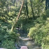Tryon Creek Triple Bridge Loop, Oregon - 1,769 Reviews, Map | AllTrails
