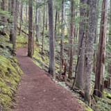 Silver Falls Loop, Washington - 4,013 Reviews, Map | AllTrails