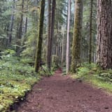 Silver Falls Loop, Washington - 4,013 Reviews, Map | AllTrails