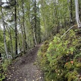 Angel Rocks Trail, Alaska - 1,003 Reviews, Map | AllTrails