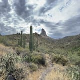 Weavers Needle Loop Trail, Arizona - 644 Reviews, Map | AllTrails