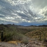 Weavers Needle Loop Trail, Arizona - 644 Reviews, Map | AllTrails