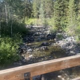 Phelps Lake, Lake Creek, and Woodland Loop, Wyoming - 3,278 Reviews ...