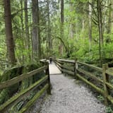 Capilano Canyon and Upper Capilano Pacific Trail Loop, British Columbia ...