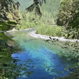 Staircase Rapids Loop, Washington - 3,077 Reviews, Map | AllTrails