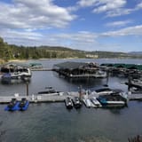 Tubbs Hill, Idaho - 4,887 Reviews, Map | AllTrails