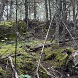 Scoville Point via Stoll Trail, Michigan - 475 Reviews, Map | AllTrails