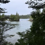 Scoville Point via Stoll Trail, Michigan - 475 Reviews, Map | AllTrails