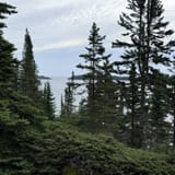 Scoville Point via Stoll Trail, Michigan - 475 Reviews, Map | AllTrails