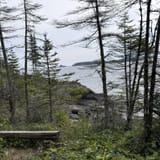 Scoville Point via Stoll Trail, Michigan - 475 Reviews, Map | AllTrails