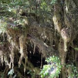 Cutler Wetlands Open Space Loop, Oregon - 103 Reviews, Map | AllTrails
