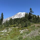 Skyline Loop, Washington - 17,625 Reviews, Map | AllTrails