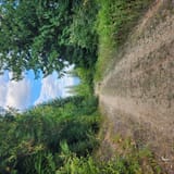 Rathdrum Mountain Trail, Idaho - 323 Reviews, Map | AllTrails