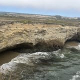 Old Cove Landing Trail, California - 4,160 Reviews, Map | AllTrails