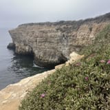 Old Cove Landing Trail, California - 4,111 Reviews, Map | AllTrails