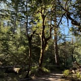 Staircase Rapids Loop, Washington - 3,077 Reviews, Map | AllTrails