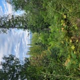 Rathdrum Mountain Trail, Idaho - 323 Reviews, Map | AllTrails