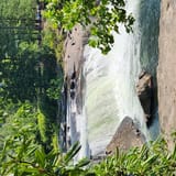 Ferncliff Trail, Pennsylvania - 1,599 Reviews, Map | AllTrails