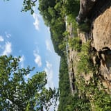 Ferncliff Trail, Pennsylvania - 1,599 Reviews, Map | AllTrails