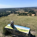 Wye and the North Downs Circular Walk, Kent, England - 658 Reviews, Map ...