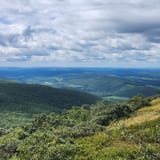 Alander Mountain Trail, Massachusetts - 1,040 Reviews, Map | AllTrails