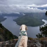 Mount Mark via Horne Lake Hustle, British Columbia, Canada - 683 ...