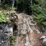 Mount Mark via Horne Lake Hustle, British Columbia, Canada - 683 ...