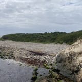 Black Point Trail, Rhode Island - 840 Reviews, Map | AllTrails