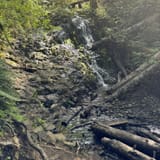 Mima Falls East Trail, Washington - 1,982 Reviews, Map | AllTrails