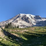 Skyline Loop, Washington - 17,625 Reviews, Map | AllTrails