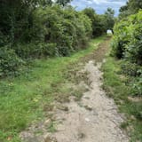 Beavertail Lighthouse Loop, Rhode Island - 1,027 Reviews, Map | AllTrails