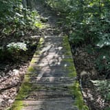 Spruce Hill via Hoosac Range Trail, Massachusetts - 600 Reviews, Map ...