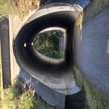 Larry Scott Trail, Washington - 378 Reviews, Map | AllTrails
