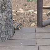 Barr Camp via Barr Trail, Colorado - 1,427 Reviews, Map | AllTrails